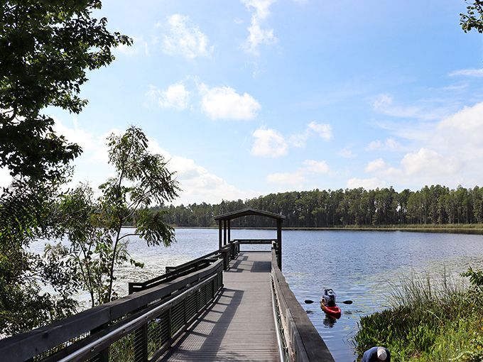Crystal clear waters meet pristine shoreline at Lake Louisa. Mother Nature showing off her best work without charging theme park prices.