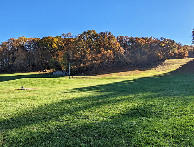 Sprawling green meadows invite you to kick off your shoes and feel the grass between your toes. Nature's carpet awaits at Oregon Ridge Park.