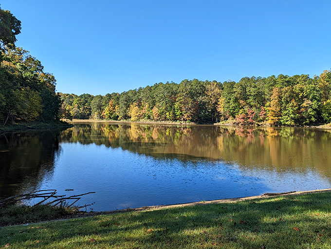 Nature's perfect mirror act! The still waters of Big Lake create a double dose of Carolina beauty, complete with a fishing pier that practically begs for your company.