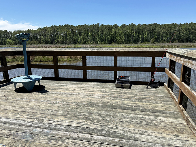 Nature's observation deck awaits at Belle Isle's wooden platform, where binoculars and patience reveal the secret lives of marsh dwellers below.