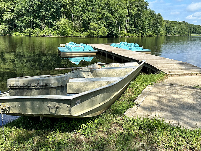 Nature's perfect mirror: paddle boats await adventure on the glassy waters of Bear Creek Lake, where reflections are so clear you might forget which way is up.