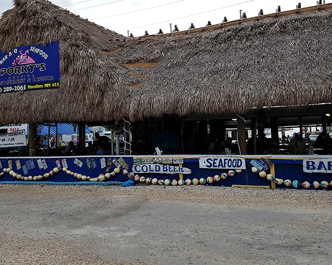 Thatched-roof paradise alert! Porky's colorful exterior with its blue railings and buoy decorations screams "authentic Keys experience" before you even step inside.