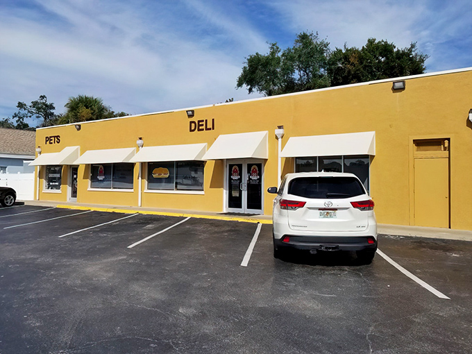 The blue-tiled roof and charming arched entryway of The Bagel Barn beckons like a carb-loaded oasis in the Florida strip mall desert.