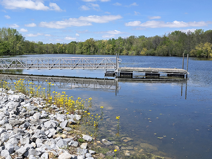 Mirror, mirror on the pond&mdash;Beall Woods' pristine waters reflect the ancient forest canopy like nature's own Instagram filter.