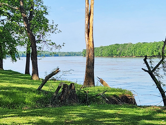 Spring awakens along the Wabash River, where flowering dogwoods stand like nature's wedding decorations against the blue Indiana sky.