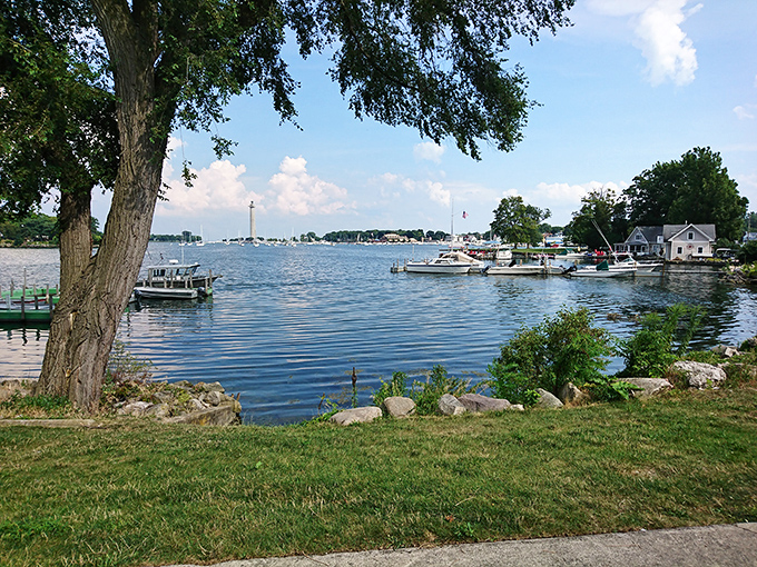 Nature's perfect frame: Oak Point's ancient trees bend toward the water, creating postcard-worthy views of Put-in-Bay's harbor that no Instagram filter could improve.