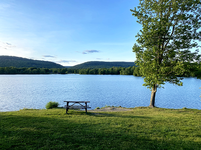 Nature's perfect postcard: a lone picnic table beneath a tree, inviting you to sit and lose yourself in the mirror-like waters of Memorial Lake.