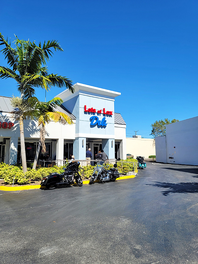 Palm fronds frame the unassuming exterior of Lots of Lox Deli, where Miami's breakfast dreams come true beneath that cheerful red and blue signage.