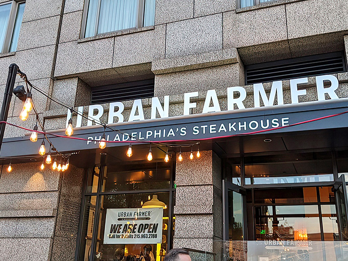 The warm glow of Edison bulbs welcomes you to Urban Farmer, where Philadelphia's steakhouse tradition gets a modern farmhouse makeover.