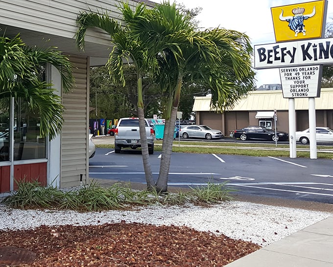 The iconic yellow Beefy King sign stands like a beacon of sandwich salvation, promising meaty delights beneath those swaying Florida palms.