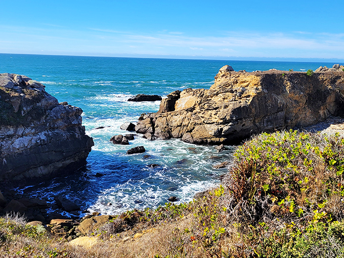 Nature's drama unfolds where rugged cliffs meet the Pacific's endless blue. This isn't Photoshop&mdash;it's just another Tuesday at Salt Point.