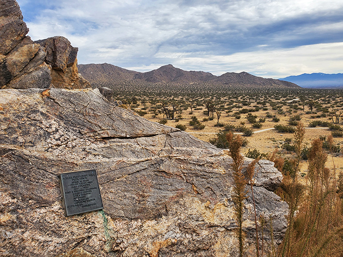 Nature's own granite masterpiece rises from the desert floor, with Joshua trees standing like quirky sentinels guarding this hidden California treasure.
