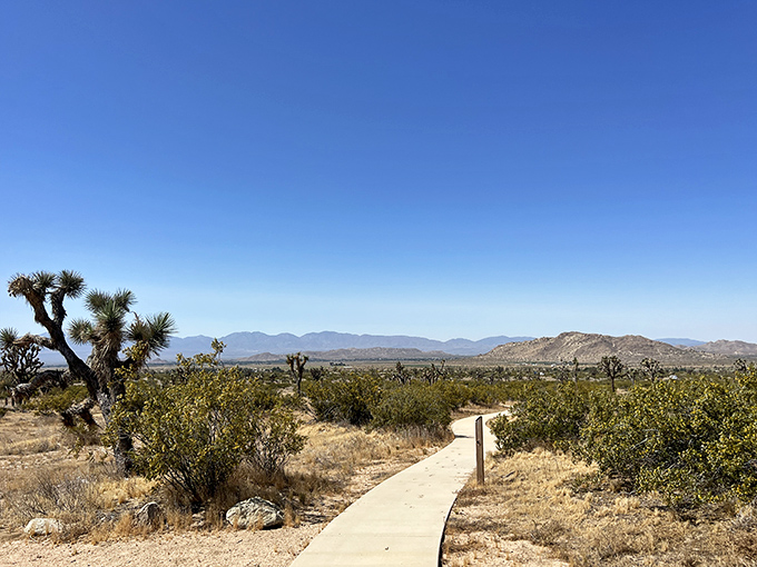 Nature's own granite masterpiece rises from the desert floor, with Joshua trees standing like quirky sentinels guarding this hidden California treasure.