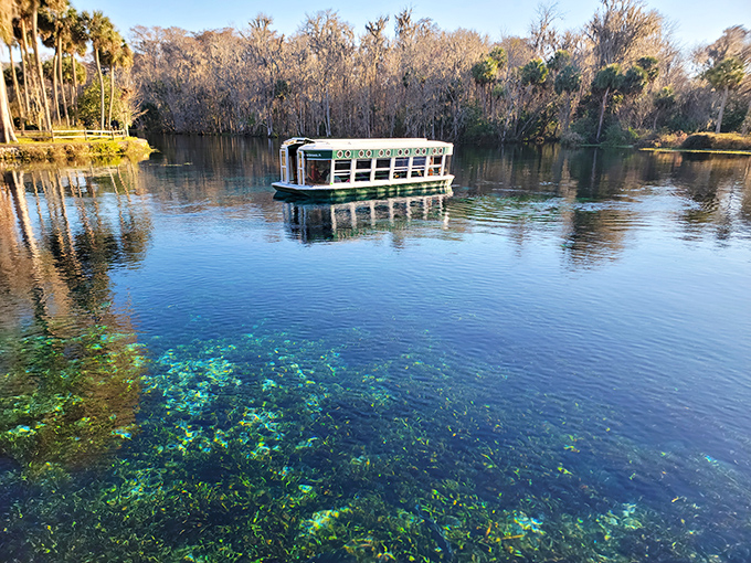 The famous glass-bottom boats glide over impossibly clear waters, revealing an underwater world that feels like Mother Nature's own aquarium.