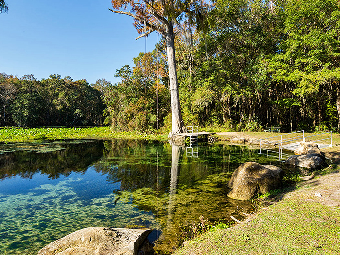 Nature's own infinity pool! The rope swing beckons adventure-seekers while the crystalline waters reveal every pebble and fish below.