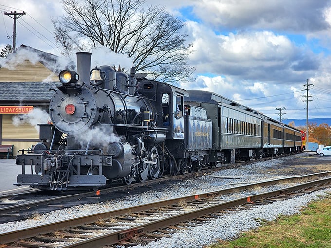 The magnificent steam locomotive of Everett Railroad Company stands ready for adventure, its polished black exterior gleaming like a time machine to a bygone era.