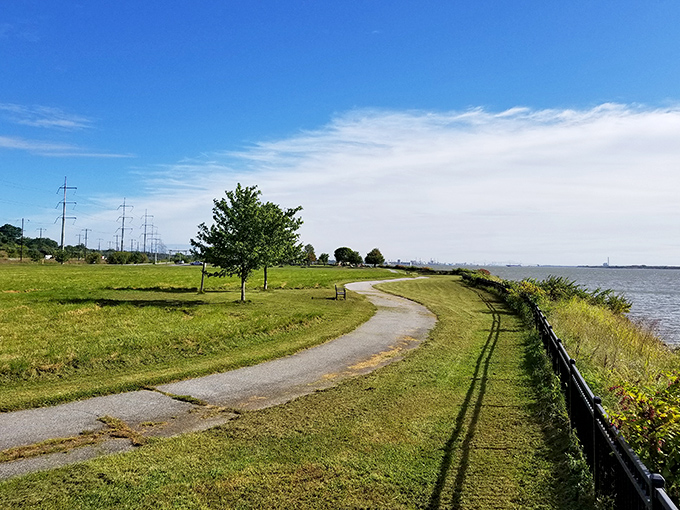 The Delaware River stretches toward infinity, with Fox Point's paved trail inviting you to follow its gentle curve. Nature's version of a welcome mat.