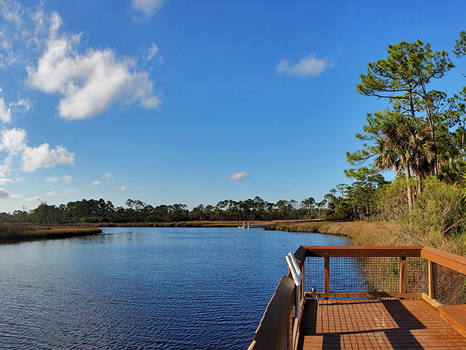 Nature's infinity pool! The glassy waters of Pellicer Creek reflect Florida's endless blue sky, while the observation deck invites contemplative moments away from life's chaos.