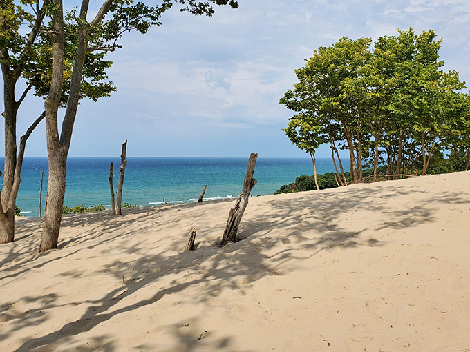 Where Michigan masquerades as the Caribbean. The pristine shoreline stretches toward the horizon, proving the Great Lakes can rival any ocean view.