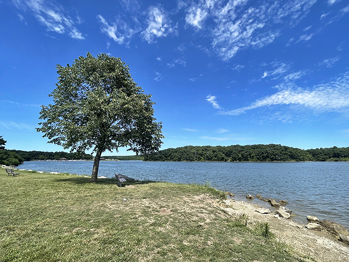 Forest Lake stretches out like nature's own infinity pool, where the only notification you'll get is the occasional ripple from a jumping fish.