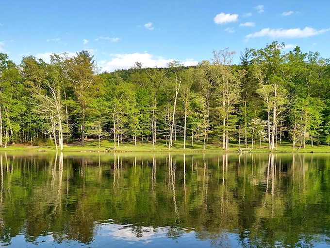 Mother Nature's masterpiece on full display &ndash; autumn mountains embracing a serene lake while picnic tables patiently wait for your sandwich collection. 