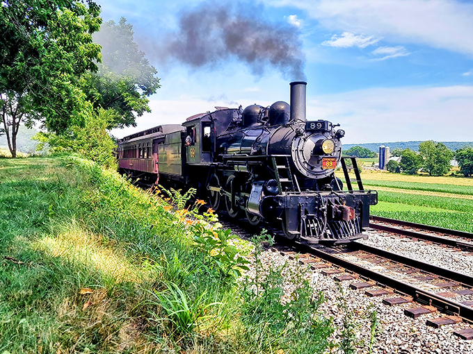 Steam and dreams collide as this magnificent locomotive cuts through Lancaster County's emerald farmland, a moving postcard from America's golden age of rail.