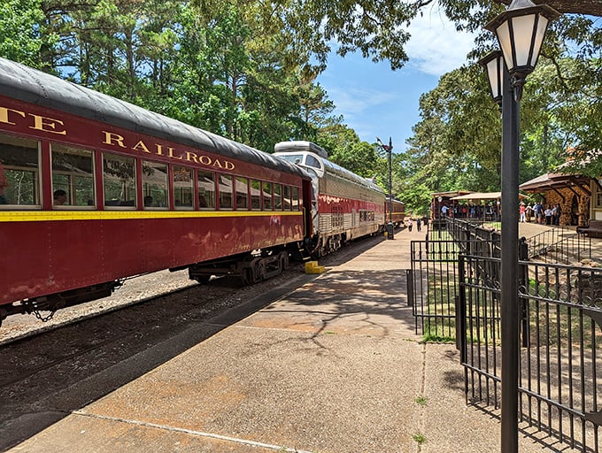 The maroon and yellow passenger cars of the Texas State Railroad stand ready for adventure, like time machines disguised as vintage transportation.