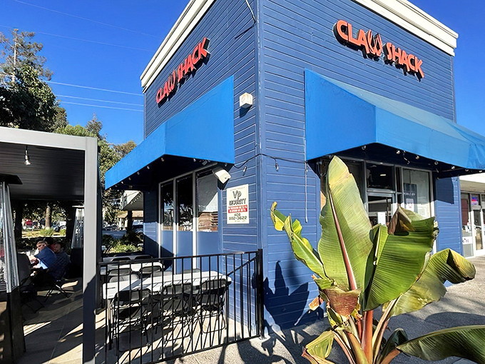 Sunny day, blue shack! This is where the seafood magic happens&mdash;a pilgrimage for flavor. Come get messy!