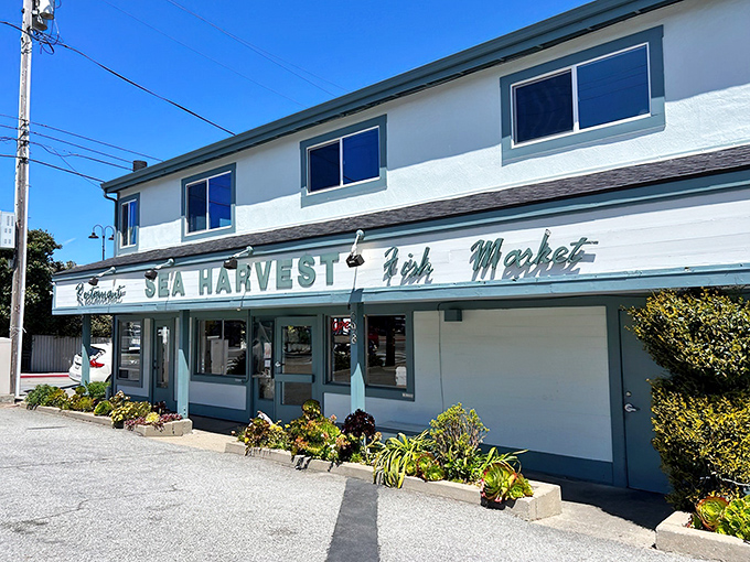 The unassuming exterior of Sea Harvest belies the seafood treasures within. Like finding a pearl in an oyster, this place delivers big flavors in a modest package.