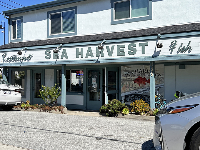 The unassuming exterior that's been fooling tourists while locals line up for the good stuff inside.