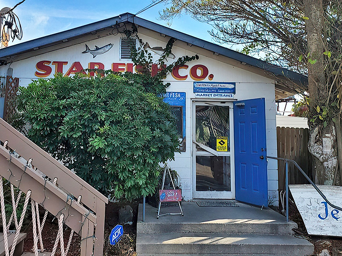 The ultimate Florida seafood experience awaits on this weathered dock where string lights twinkle above happy diners enjoying ocean-to-plate perfection.