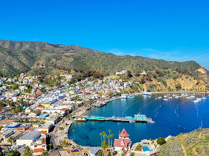 Avalon's harbor curves like nature's perfect smile, with turquoise waters that would make Caribbean islands develop a serious case of envy.