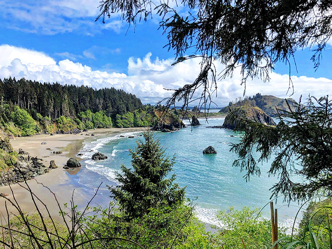 Nature's perfect postcard: College Cove's crescent-shaped shoreline embraces the Pacific, framed by towering redwoods and dramatic rock formations.