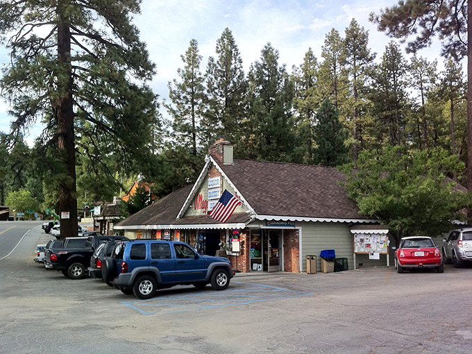 Downtown Idyllwild stretches before you like a movie set, where towering pines replace palm trees and mountain air replaces smog. Small-town California at its finest.