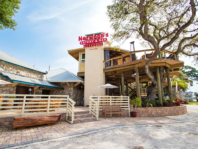 Norwood's iconic treehouse structure rises majestically among the oaks, proving childhood dreams and fine dining can coexist beautifully in New Smyrna Beach.