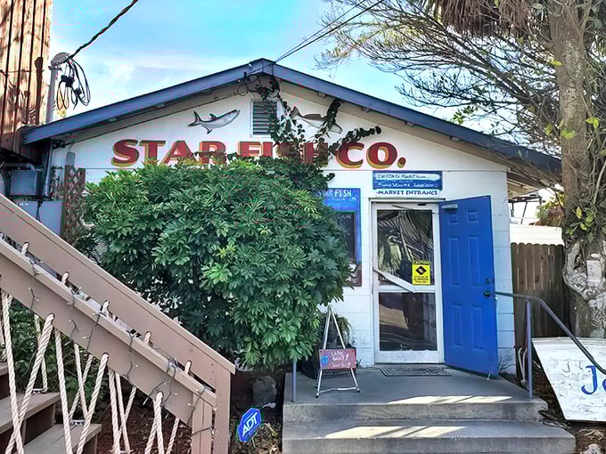 The unassuming exterior of Star Fish Company proves once again that in Florida, the best seafood often hides behind the simplest facades.