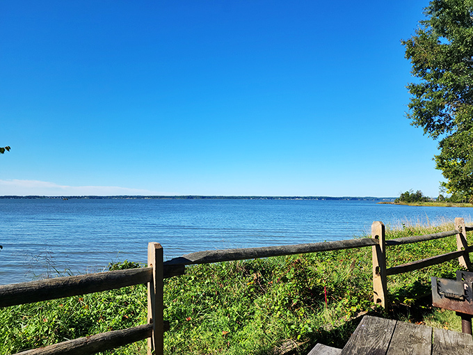 Nature's observation deck awaits at Belle Isle's wooden platform, where binoculars and patience reveal the secret lives of marsh dwellers below.