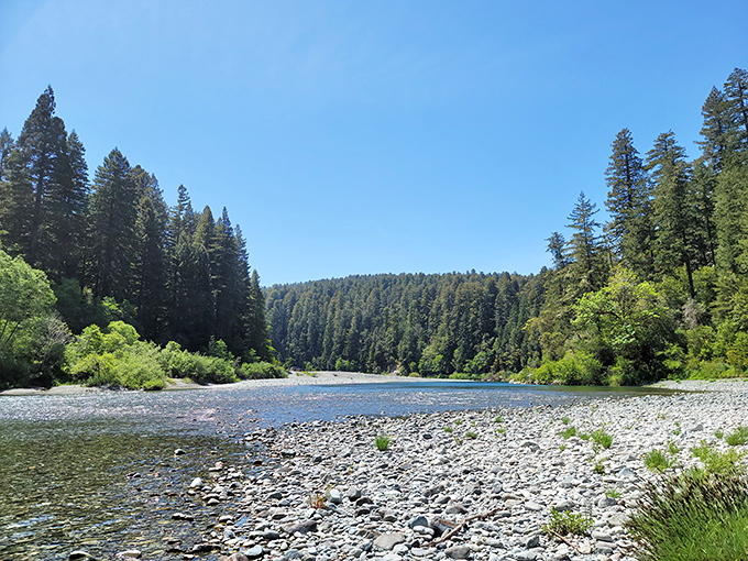 The Smith River cuts through ancient forests like nature's own time machine, offering a glimpse into Earth's prehistoric past with crystal-clear waters and towering sentinels.