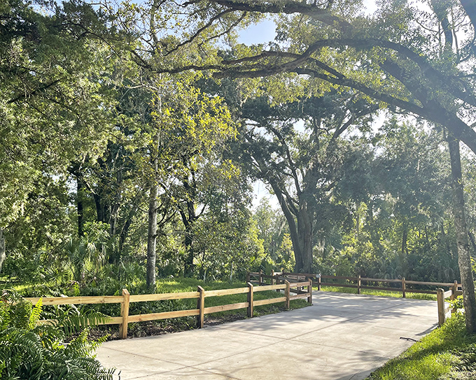 Crystal-clear waters invite kayakers into nature's own infinity pool. The spring's remarkable clarity makes you wonder if someone secretly Windexed the entire river overnight.