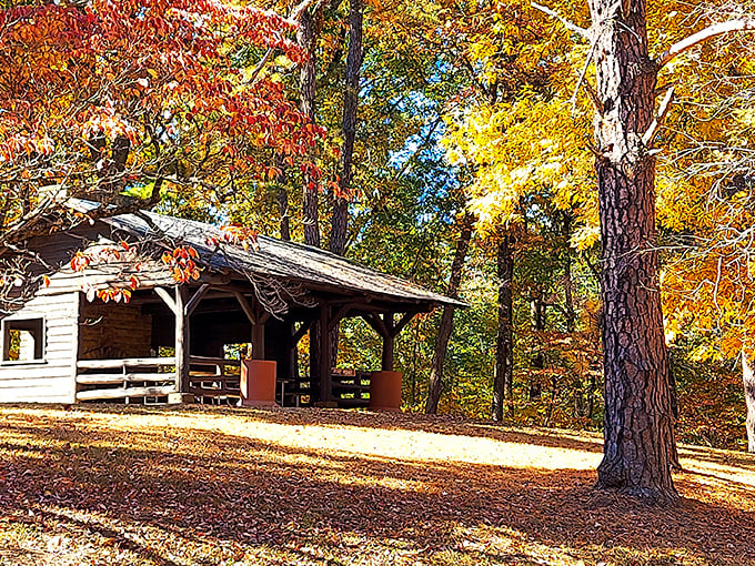 A rustic shelter nestled among autumn's fiery display. Nature's five-star accommodations with the best seasonal color scheme money can't buy.