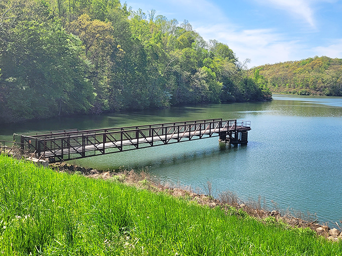 Nature's perfect fishing pier stretches into the emerald waters of Dow Lake, inviting you to cast a line or simply stand in awe of the surrounding greenery.