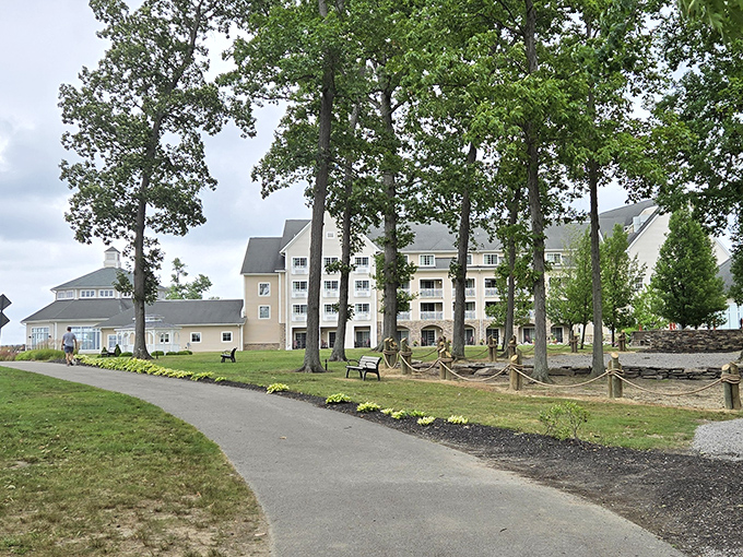 Lake Erie stretches to the horizon like nature's infinity pool, offering a front-row seat to Ohio's most impressive waterscape.