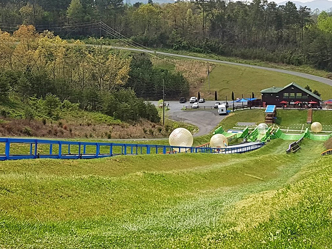 Giant transparent orbs tumble down green hillsides at Outdoor Gravity Park, where adults finally have permission to play like kids again.