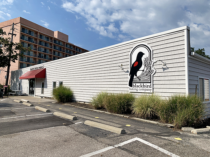 The unassuming exterior of Blackbird Baking Company, with its bright red awning, beckons carb enthusiasts like a lighthouse guiding ships to delicious shores.