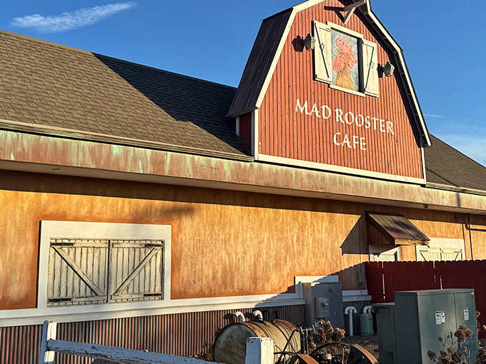 That barn-red exterior isn't fooling anyone &ndash; this rooster knows exactly what breakfast treasures lie within.