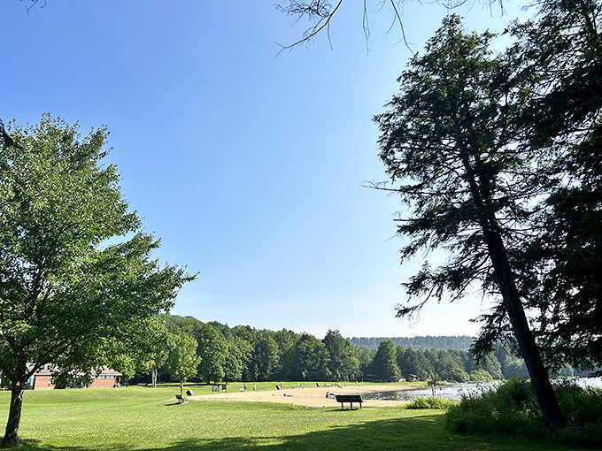 Nature's perfect canvas unfolds at Chapman State Park, where trees transform the shoreline into a masterpiece that would make Bob Ross reach for his palette.