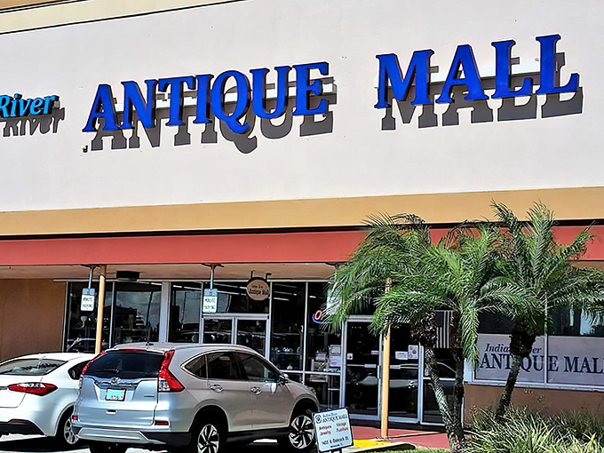 The blue sign beckons like a portal to the past. Palm trees stand guard outside this treasure trove of memories waiting to be rediscovered.