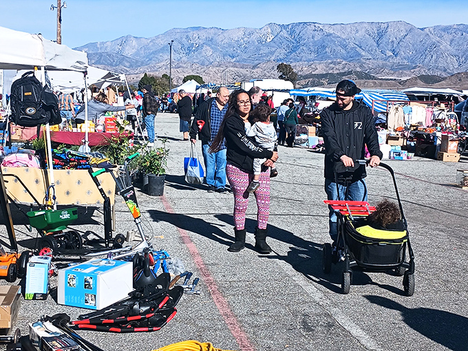 The grand boulevard of bargains stretches before you like a treasure map unfolding. Every tent holds potential discoveries waiting for the right curious shopper.