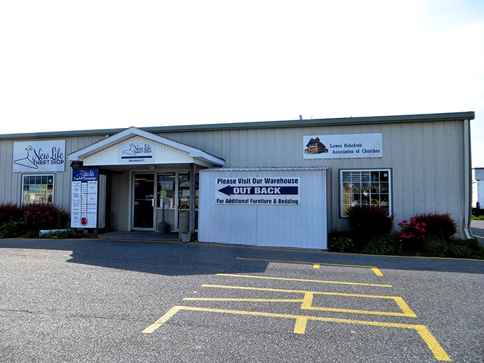 The unassuming exterior of New Life Thrift Shop belies the treasure trove within. Like finding a five-star restaurant in a strip mall, appearances can be deliciously deceiving.