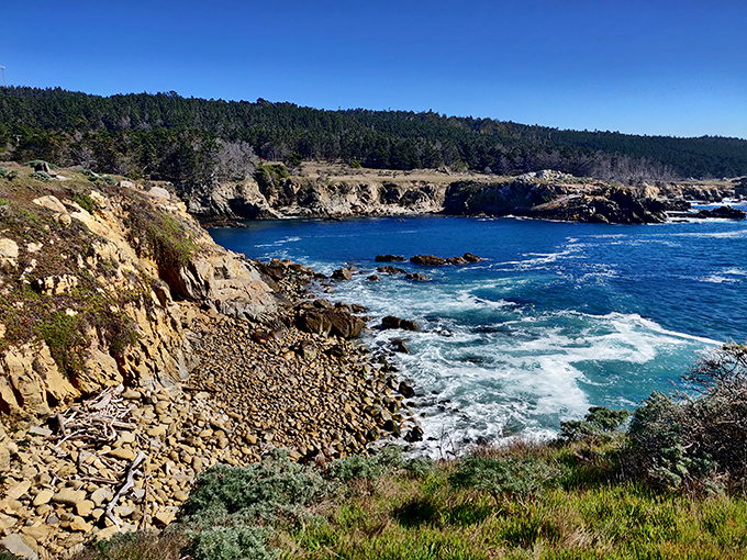 Nature's drama unfolds where rugged cliffs meet the Pacific's endless blue. This isn't Photoshop&mdash;it's just another Tuesday at Salt Point.